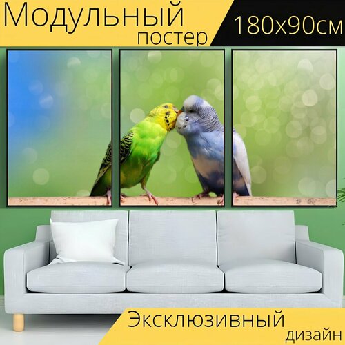 Модульный постер "Волнистые попугаи, мало, птицы" 180 x 90 см. для интерьера