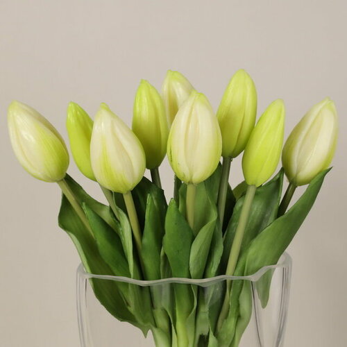 EDG Силиконовые тюльпаны Hidalgo 9 шт, 29 см зеленые 214586,75