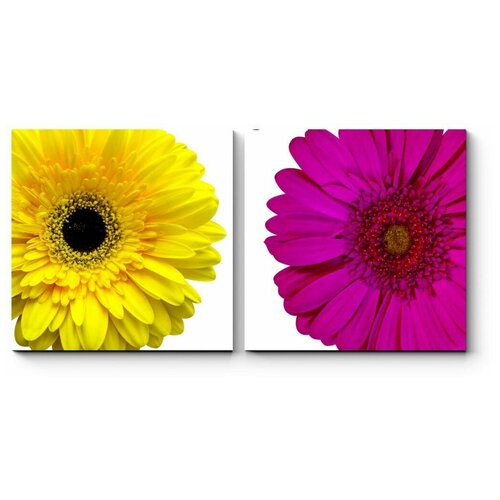 Модульная картина Насыщенность цветочных красок70x35