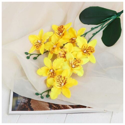 Poetry in flowers Цветы искусственные "Орхидея Фаленопсис мультифлора" 6х37 см, жёлтый