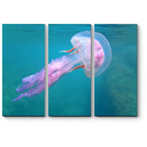 Модульная картина Опасная розовая красавица-медуза 130x93