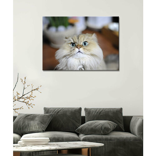 Картина - кошка, персидская кошка, домашняя кошка, ласковая кошка, кот (300) 40х60