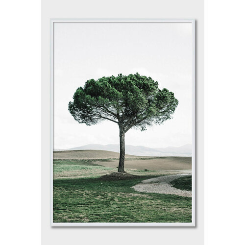 Постер для интерьера Postermarkt Одинокое зеленое дерево, постер 30х40 см в белой рамке, настенный декор для дома