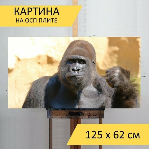 Картина на ОСП 125х62 см. "Обезьяна, горилла, животное" горизонтальная, для интерьера, с креплениями