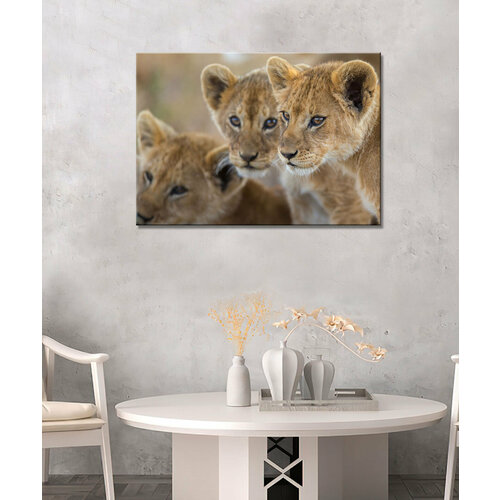 Картина на холсте для интерьера - Лев, два львенка (19) 30х40