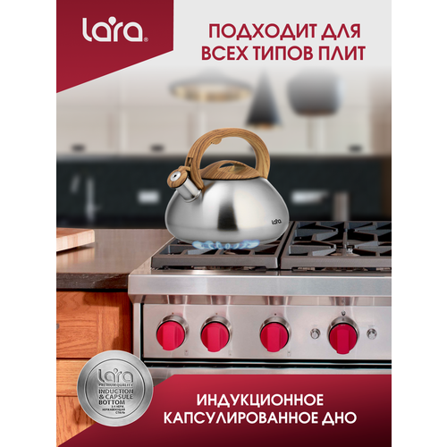 Чайник со свитском LARA LR00-71 (зеркальный) 3.0 л. для плит всех типов