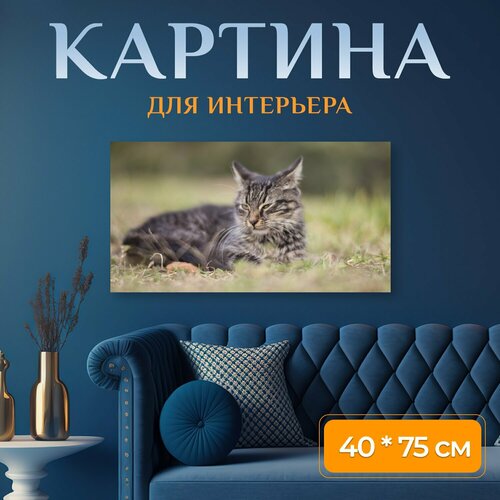 Картина на холсте "Кошка, животное, трава" на подрамнике 75х40 см. для интерьера