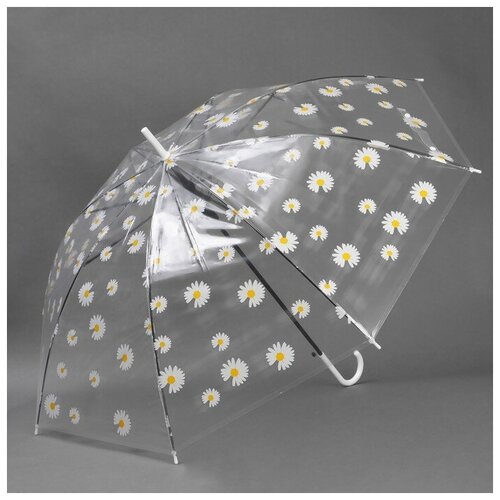 Зонт-трость Сима-ленд, полуавтомат, 8 спиц, белый, бесцветный