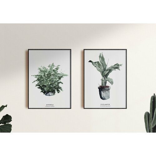 Набор плакатов "Ботаника" 2 шт. / Набор интерьерных постеров формата А2 (40х60 см) без рамы