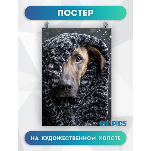 Постер на холсте Собака, кожаный нос, пес (3) 50х70 см