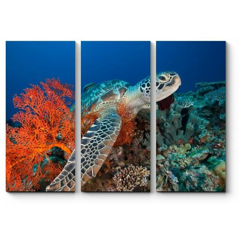 Модульная картина Морская черепаха в кораллах130x93