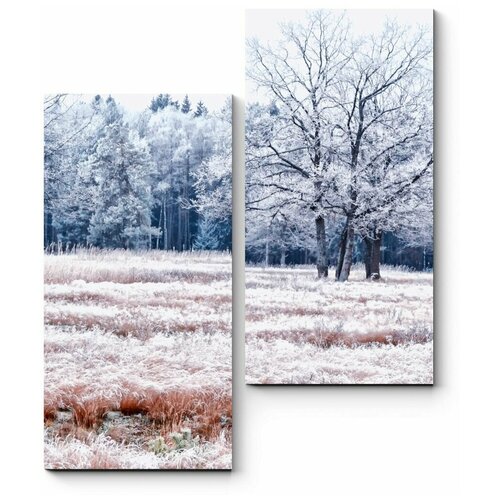 Модульная картина Зимний снежный лес50x63