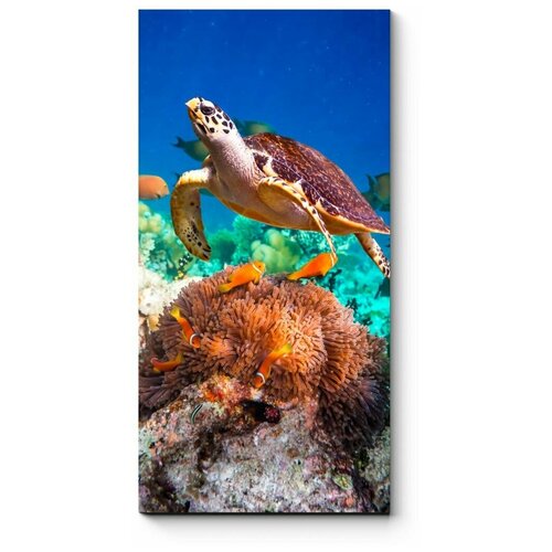 Модульная картина Черепаха в коралловом рифе100x200