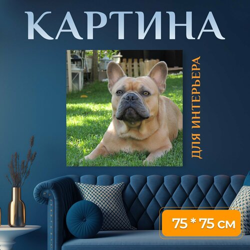 Картина на холсте "Собака, животное, друг" на подрамнике 75х75 см. для интерьера