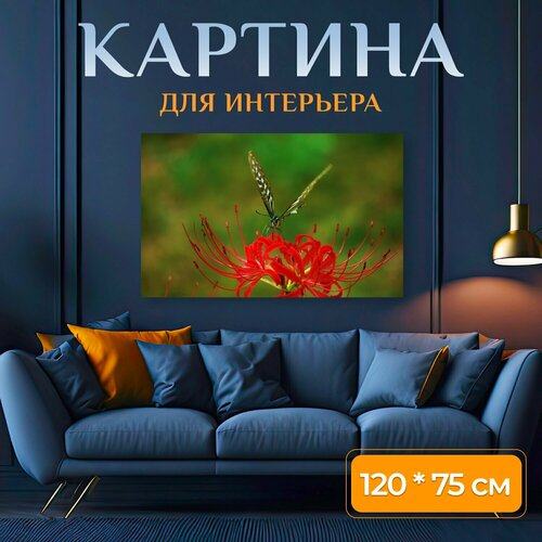 Картина на холсте "Бабочка, бабочка тигр, цветок" на подрамнике 120х75 см. для интерьера