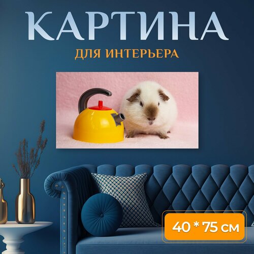 Картина на холсте "Морская свинка, домашний питомец, чайник" на подрамнике 75х40 см. для интерьера