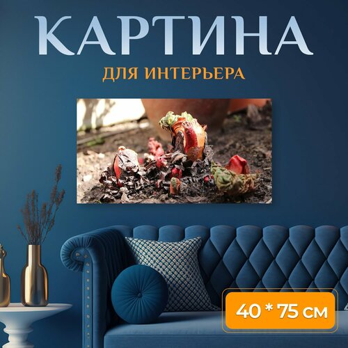 Картина на холсте "Ревень, весна, овощи" на подрамнике 75х40 см. для интерьера