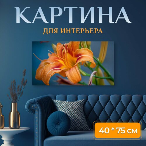 Картина на холсте "Лилейники, цветок, сад" на подрамнике 75х40 см. для интерьера