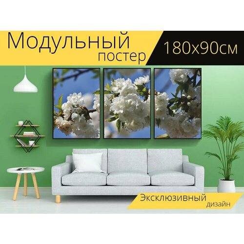 Модульный постер "Декоративная вишня, вишни в цвету, цветущая ветка" 180 x 90 см. для интерьера