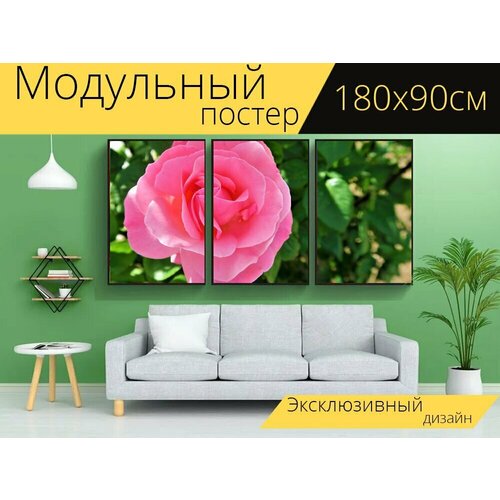 Модульный постер "Роуз, весна, розовый" 180 x 90 см. для интерьера