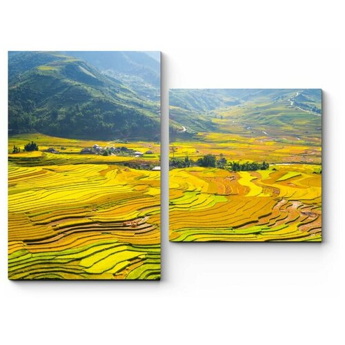 Модульная картина Рисовые поля у подножия гор Вьетнама 40x30