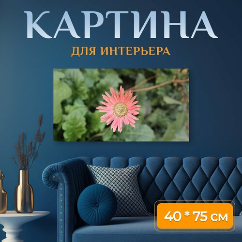 Картина на холсте "Цветок, флора, весна" на подрамнике 75х40 см. для интерьера