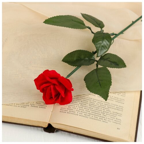 Цветы искусственные "Роза простая раскрытая" 50 см, бутон d-8, красный
