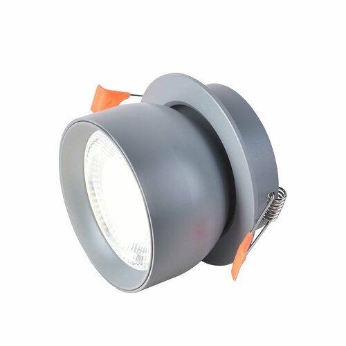 Встраиваемый светильник Favourite Astern 4512-1C, LED, 8Вт, кол-во ламп:1шт, Серый