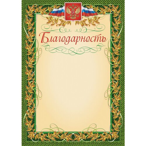 Благодарность Комус герб и флаг, рамка лавровый, лист, А4