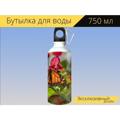 Бутылка фляга для воды "Простой тигр, бабочка, цветы" 750 мл. с карабином и принтом