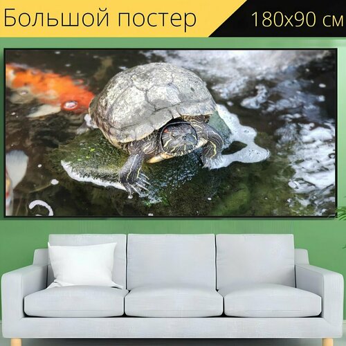 Большой постер "Черепаха, животное, рептилия" 180 x 90 см. для интерьера