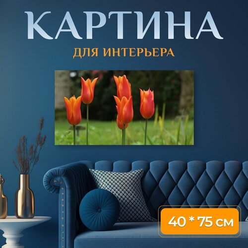 Картина на холсте "Тюльпаны, цветы, весна" на подрамнике 75х40 см. для интерьера