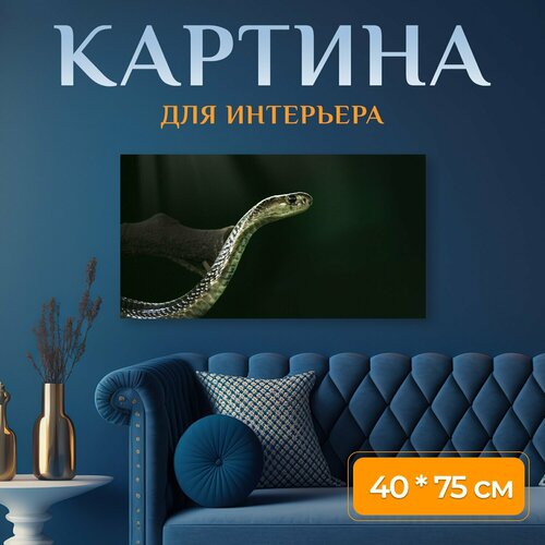 Картина на холсте "Королевская кобра, кобра, змея" на подрамнике 75х40 см. для интерьера