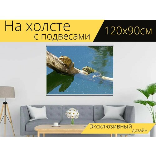 Картина на холсте "Лягушка, лягушки, батрахиан" с подвесами 120х90 см. для интерьера