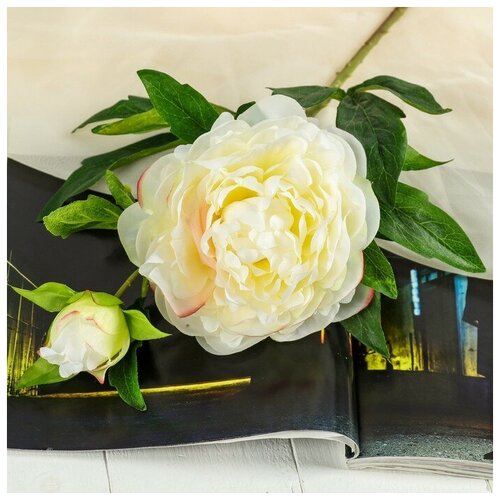 Цветы искусственные "Пион дуо" 12х60 см, белый
