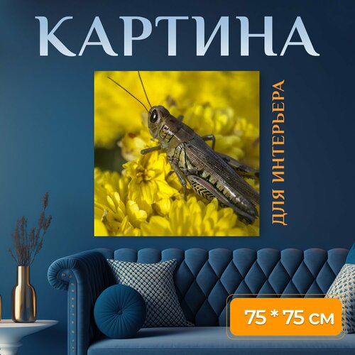 Картина на холсте "Кузнечик, жук, насекомое" на подрамнике 75х75 см. для интерьера