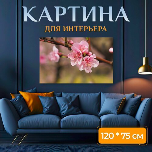 Картина на холсте "Природа, цветы, весна" на подрамнике 120х75 см. для интерьера