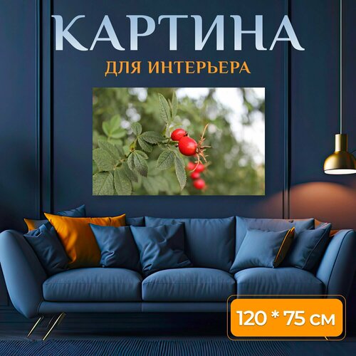 Картина на холсте "Шиповник, дикорастущее растение, полевой цветок" на подрамнике 120х75 см. для интерьера
