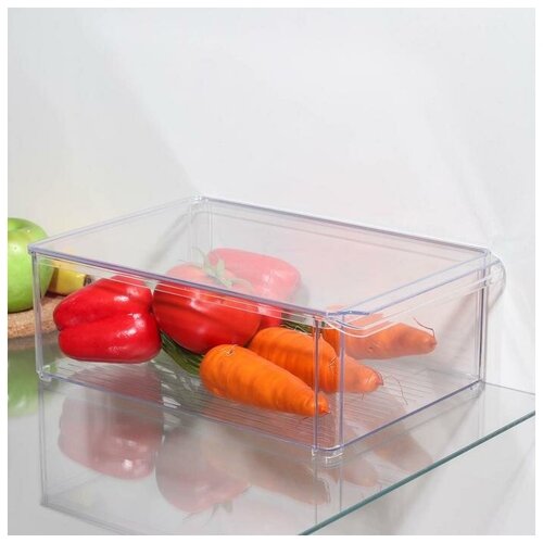 Органайзер для холодильника с крышкой IDEA, 20x30x10 см, цвет прозрачный