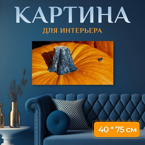 Картина на холсте "Тыква, стебель, фрукты" на подрамнике 75х40 см. для интерьера