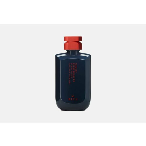 Шампунь для волос R+CO BLEU PRIMARY COLOR SHAMPOO