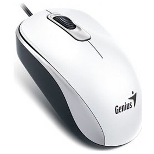 Мышь Genius DX-120 USB белый (31010010401)