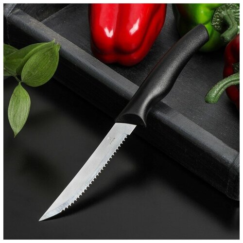 Нож Доляна "Грайм" для мяса, зубчатое лезвие 11,5 см, цвет чёрный