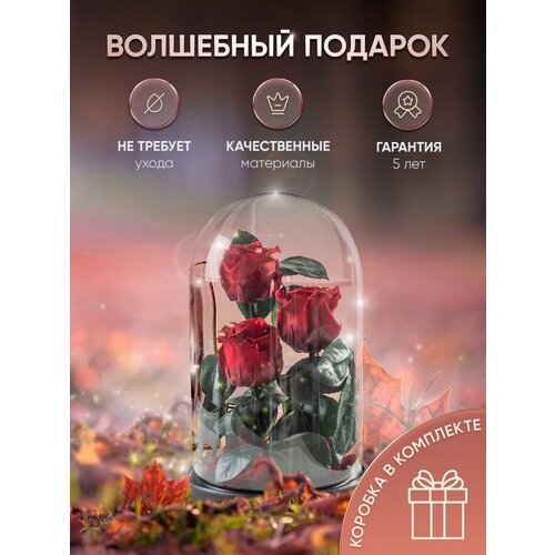 Вечная живая Роза в колбе Стабилизированная