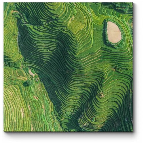 Модульная картина Линии рисовых полей 120x120