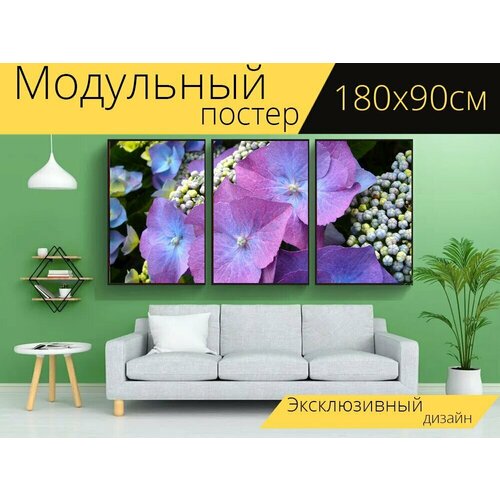 Модульный постер "Голубая гортензия, цветы, цветочный" 180 x 90 см. для интерьера