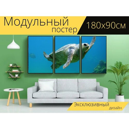 Модульный постер "Черепаха, подводный, вода" 180 x 90 см. для интерьера