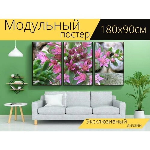 Модульный постер "Природа, садовое растение, трейлер" 180 x 90 см. для интерьера