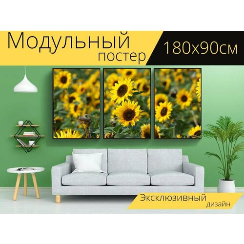 Модульный постер "Подсолнухи, желтый, цвести" 180 x 90 см. для интерьера
