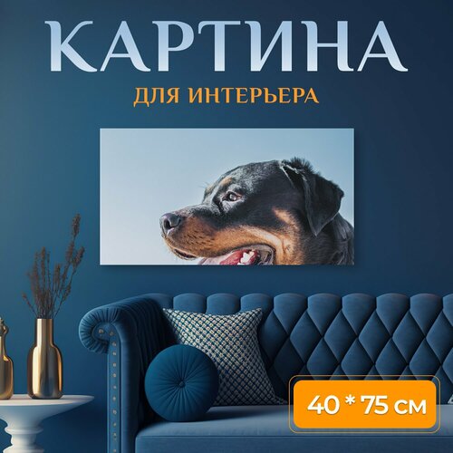 Картина на холсте "Собака, собачий, щенок" на подрамнике 75х40 см. для интерьера